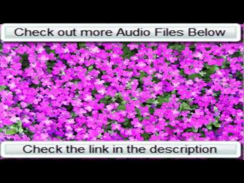 Download Royalty Free Music-SAMPLE 15