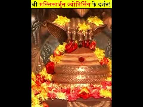 मल्लिकार्जुन मंदिर के अन्दर के लाइव दर्शन😲#facts #shorts #darshan