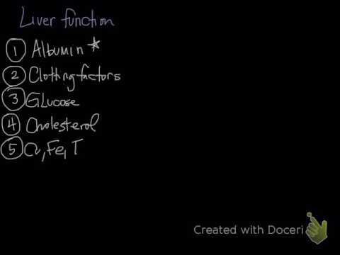 functions of the liver