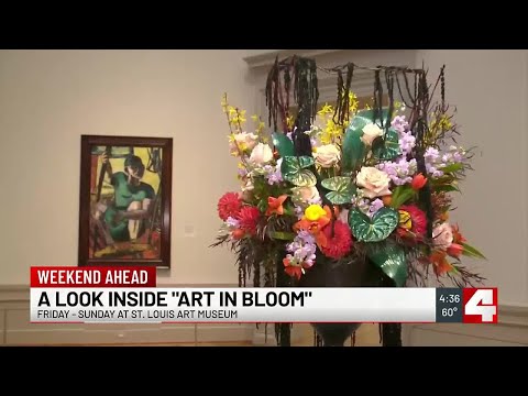 Art in Bloom returns to St. Louis Art Museum