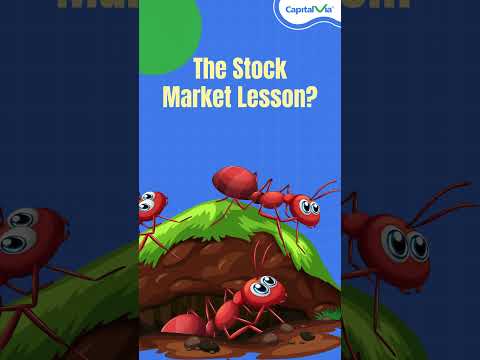 Why Stock Market Education Matters | Ant vs Grasshopper Lesson