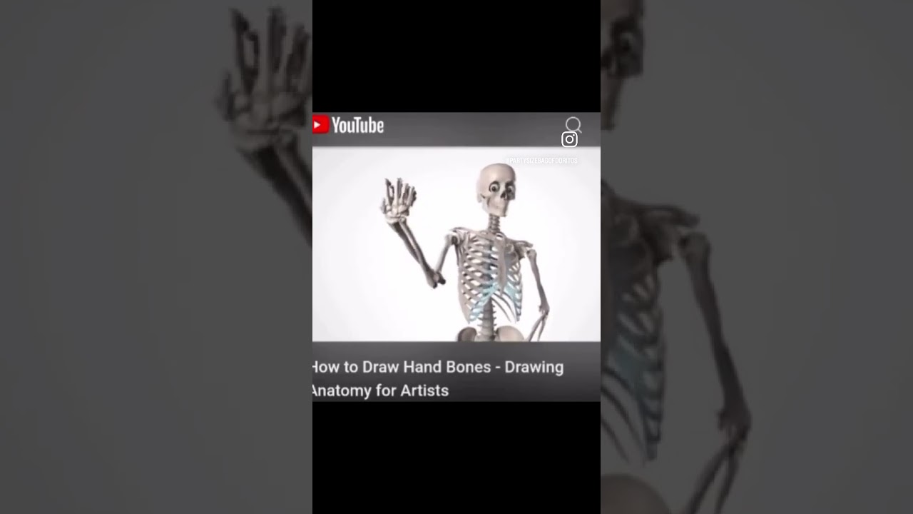 How to Draw Hand Bones - Drawing Anatomy for Artists #art #artist #hand #drawing #anatomy #funny