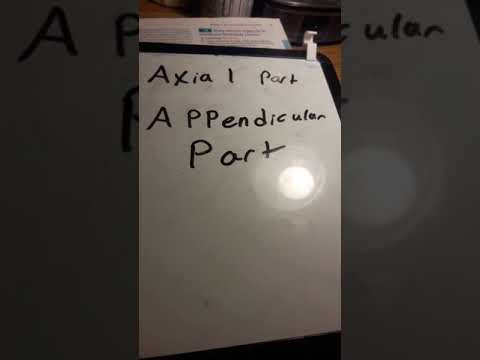 Define axial and appendicular in anatomy and physiology