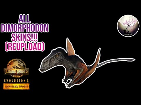 Steam Community :: Video :: ALL DIMORPHODON SKINS SHOWCASE!! [4K ...