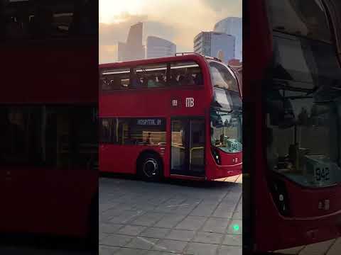 The MetroBus CDMX in Mexico City | one of the best rapid transit systems in Latin America