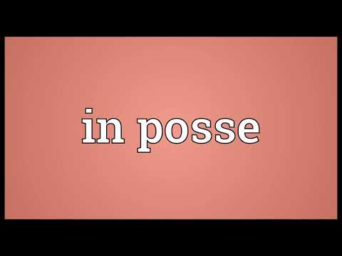 In posse Meaning