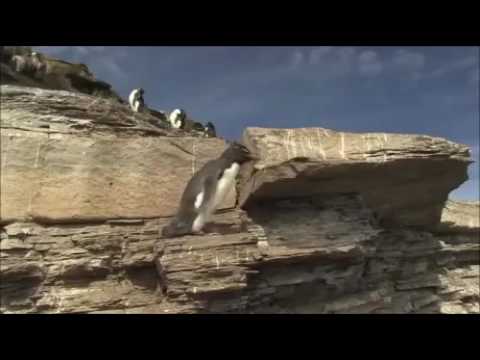 Steam Community :: Video :: Penguin falls