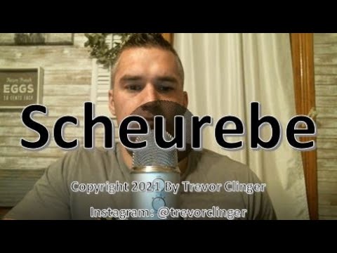 How To Pronounce Scheurebe