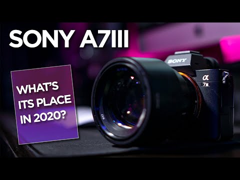 Sony A7III: What's its Viability in 2020? (Comparison VS A7sIII)