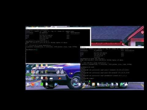 10 minutes configuring OSPF in VyOS to a efficient Network