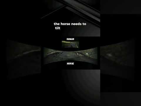 Simulation of What Horses See