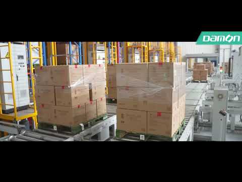 Pallet Conveyor | Damon Technology Group