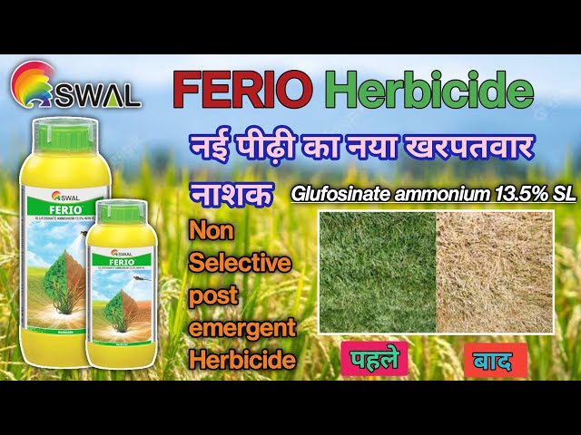 Agriculture Herbicide - Hitweed Maxx Herbicide Trader - Retailer from Surat