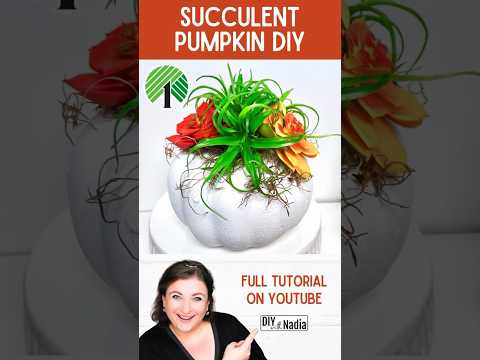 Dollar Tree Pumpkin DIY Fall Autumn Succulent Craft Tutorial #falldecor #dollartree #dollartreediy