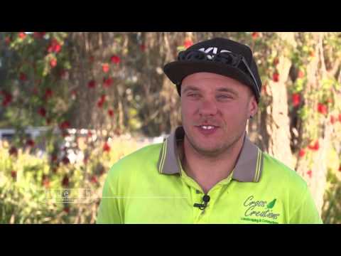 Roderick Insurance Brokers Client Testimonial - Daniel - They're big, but have time to listen!