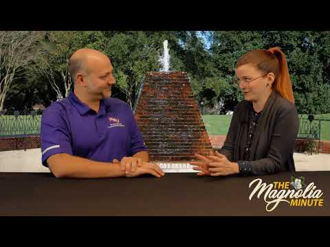 Magnolia Minute: Brett Garfinkel – Cat-N-The-Hat | Natchitoches Parish ...