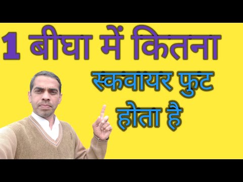 एक बीघा में कितने फुट होते है|1 bigha mein kitna foot hota hai|#बीघा #फुट#गज#एकड़