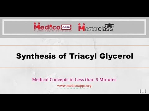Synthesis of Triacyl Glycerol