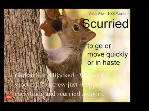 Scurried