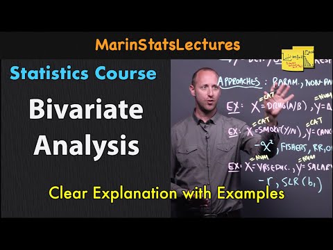 Bivariate Analysis Meaning | Statistics Tutorial #19 | MarinStatsLectures