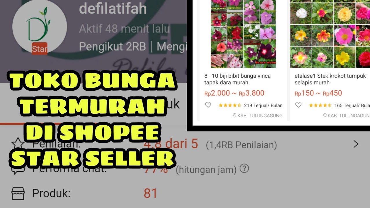 haul Shopee termurah benih tanaman bunga murah rekomendasi Toko termurah