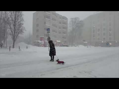 Meteorologist: Christmas should snowy across Finland, HEAVY Snowfall after Blizzard Helsinki Finland