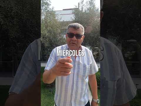La cultura organizacional es el alma de tu empresa 💼✨