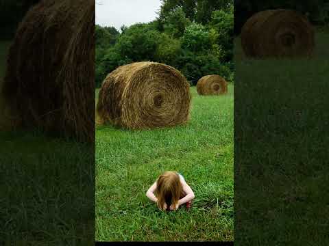 Learn to See Green - Photojournalism Tips
