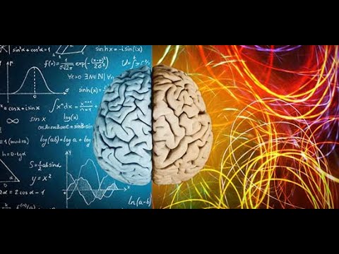 Left Brain vs. Right Brain: Uncovering the Mysteries of Brain Dominance