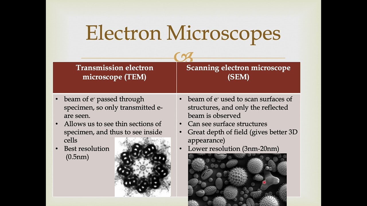 chapter 1 2 electron microscopy 1