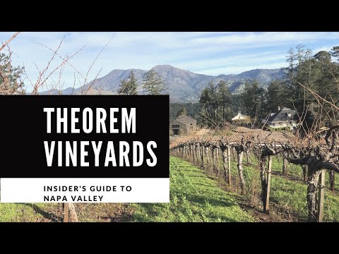 Insider's Guide to Theorem Vineyards Napa Valley