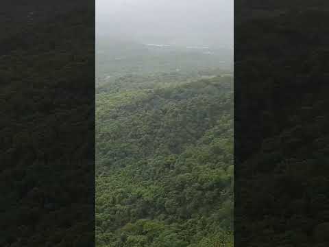 Karnala Bird Sanctuary #shortsvideo #karnala #karnalabirdsanctuary #karnalafort