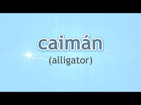 How to Pronounce Alligator (Caimán) in Spanish
