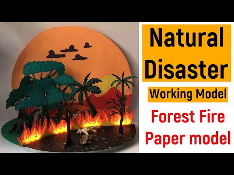 Natural disaster working model | Forest fire science project | Environmental awareness model
