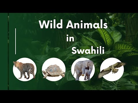 Wild animals vocabulary in Swahili