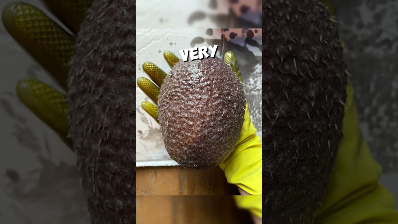 This poor hedgehog couldn't grow his quills 🥺💔 #shorts