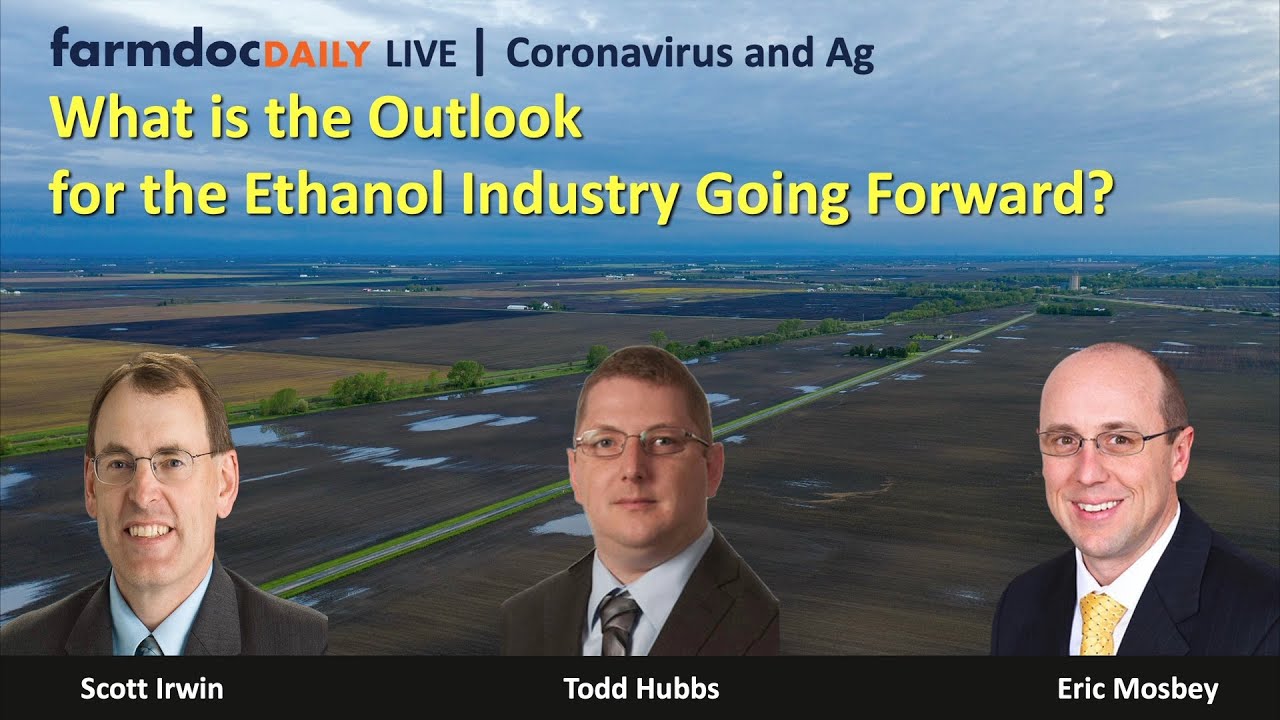 What is the Outlook for the Ethanol Industry Going Forward?