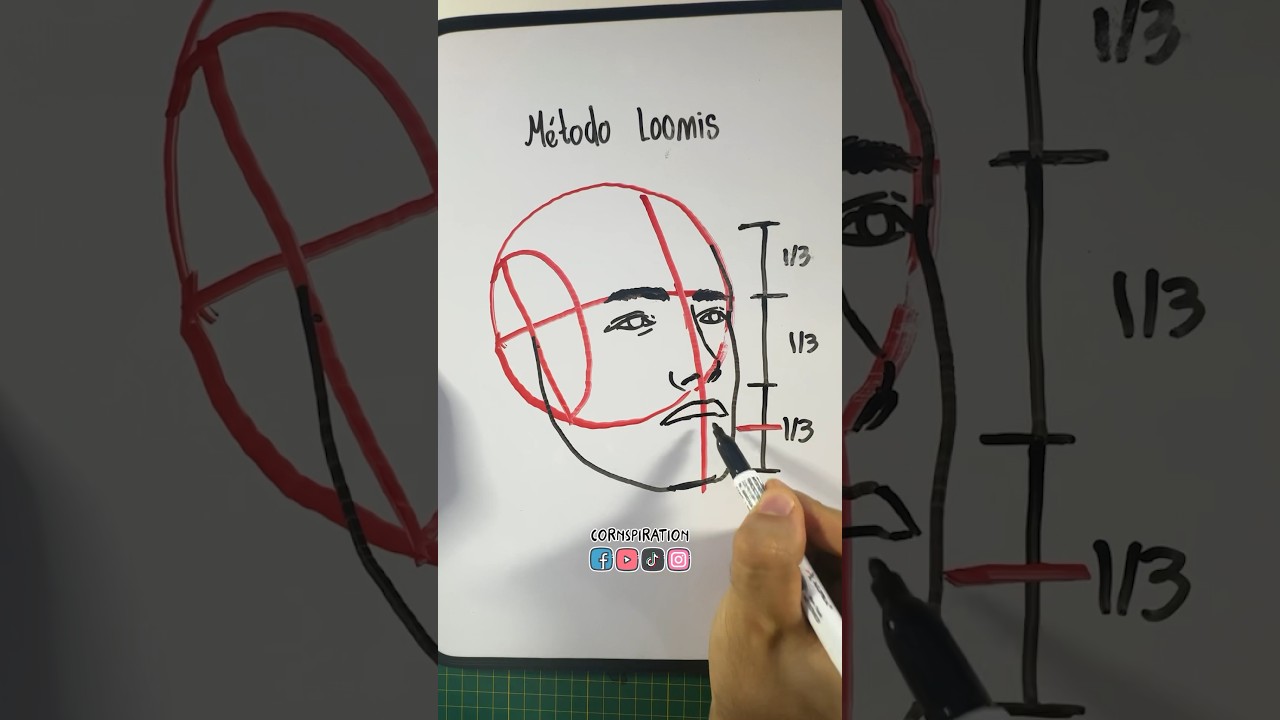 Loomis Method for Drawing Faces ✍️ #drawing #art #tutorial #drawing #art