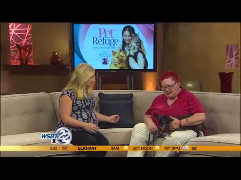 Pet Refuge Pet: Freydo