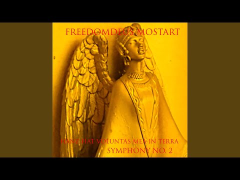 Hanz Fiat Voluntas Mea In Terra (Freedomdeus Symphony No. 2)