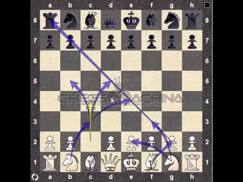 Flank Openings Explored – Chess Machina