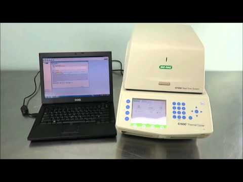 Bio Rad CFX96 qPCR System