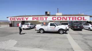3 Best Pest Control Companies in Pasadena, CA - Expert Recommendations
