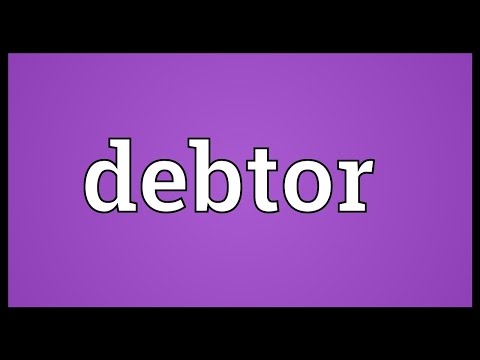 Debtor Meaning