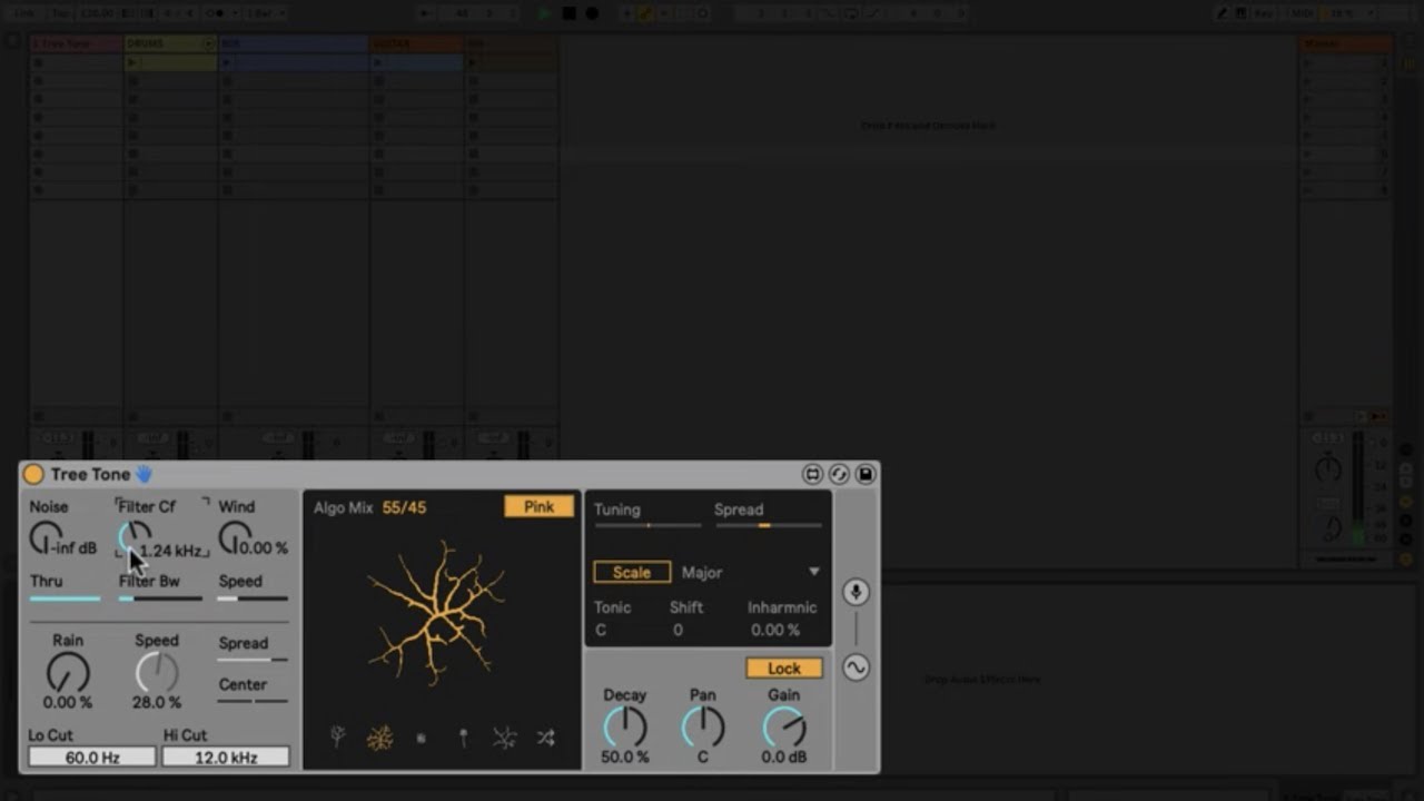 Tree Tone | Soul Candi Institute of Music