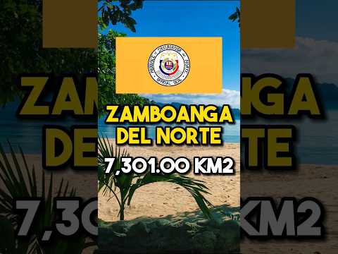 The Largest Provinces In The Philippines🇵🇭! #philippines #geography #shorts #shortvideo #countries
