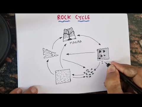 How to draw Rock Cycle lebelled diagram class 8 || Rock cycle diagram