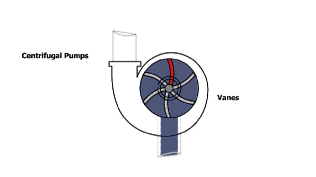 Centrifugal Pump Animation