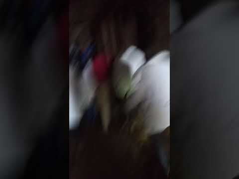 Inside the dark scary mines in Uganda part 1