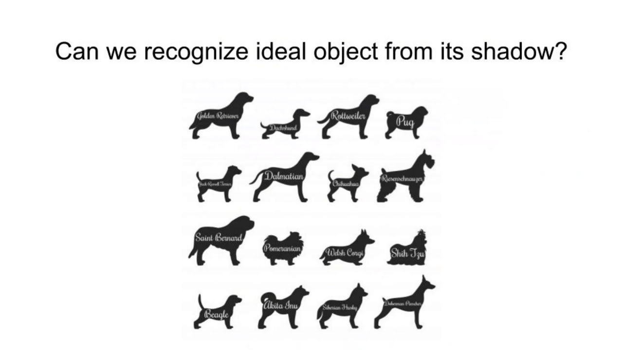 Official opening of Dioscuri Centre in Topological Data Analysis